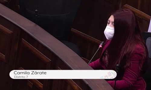 Camila Zárate: "Los movimientos sociales tuvieron un rol importante en ...